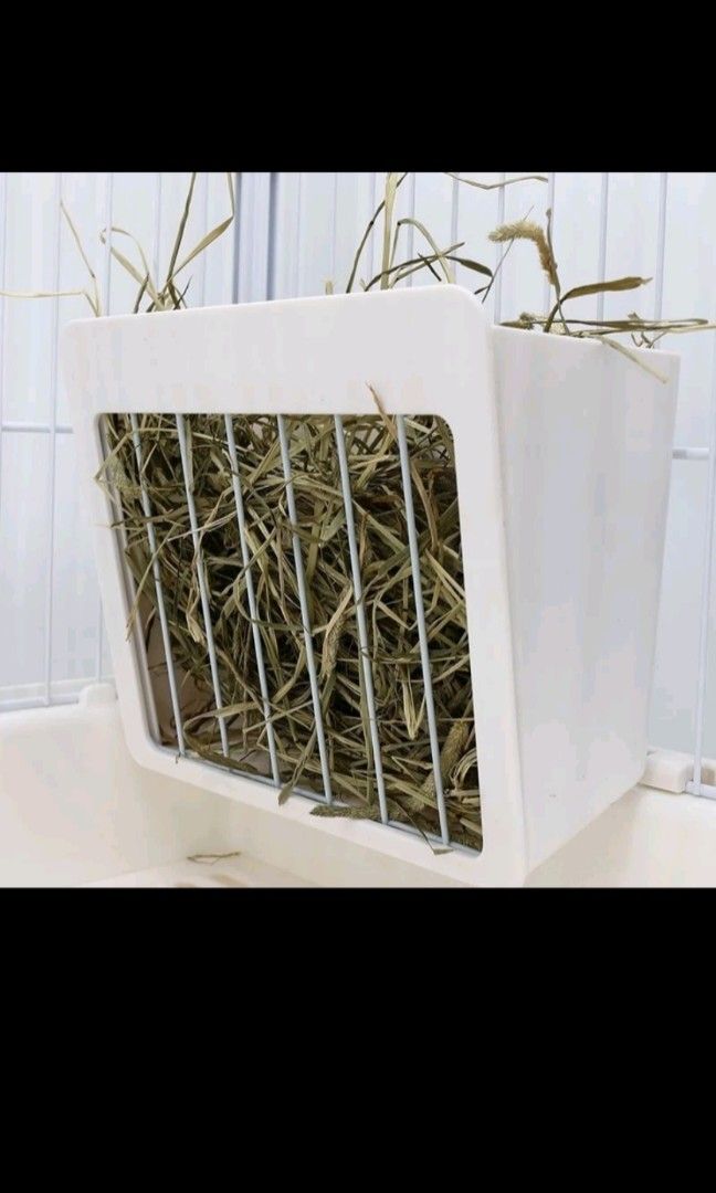 Rabbit Hay Box Large Capacity, Pet Supplies, Homes & Other Pet ...