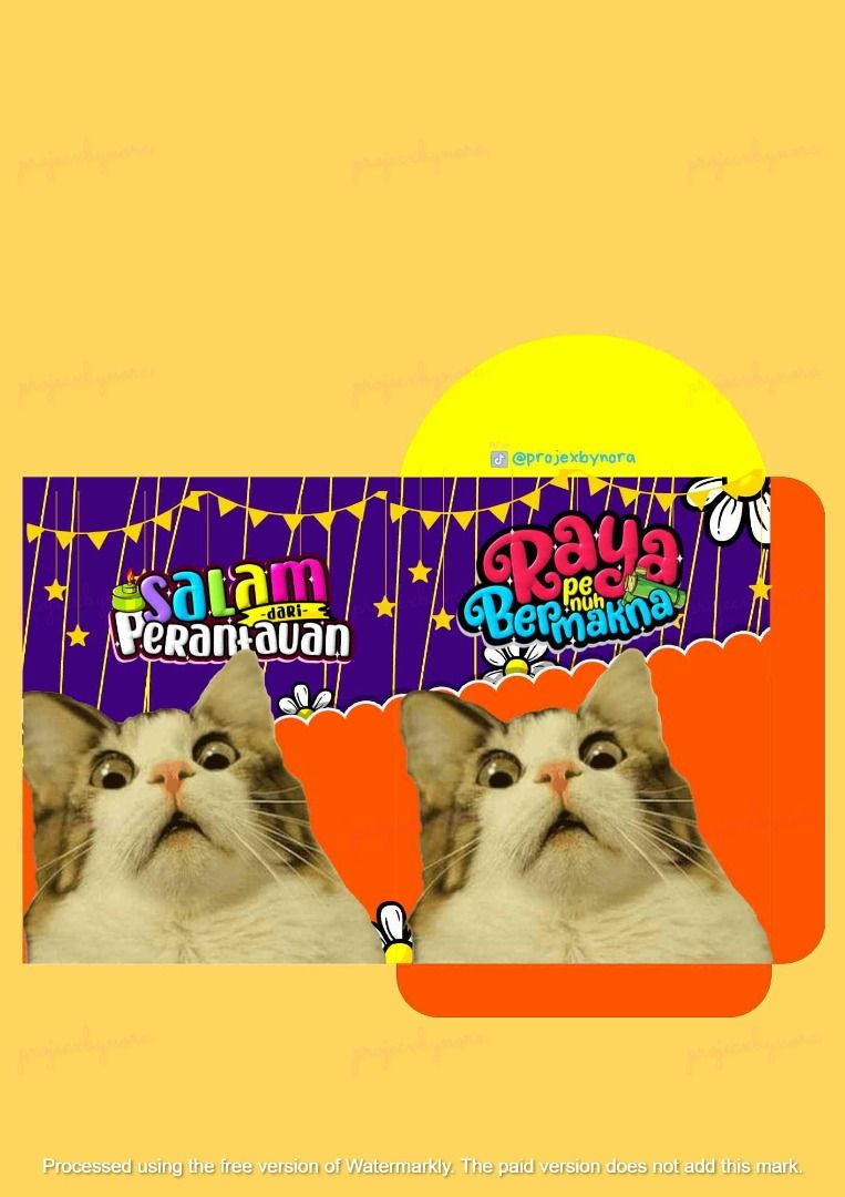 Sampul cats kuching Raya viral 2024 Cat, Hobbies & Toys, Stationery ...