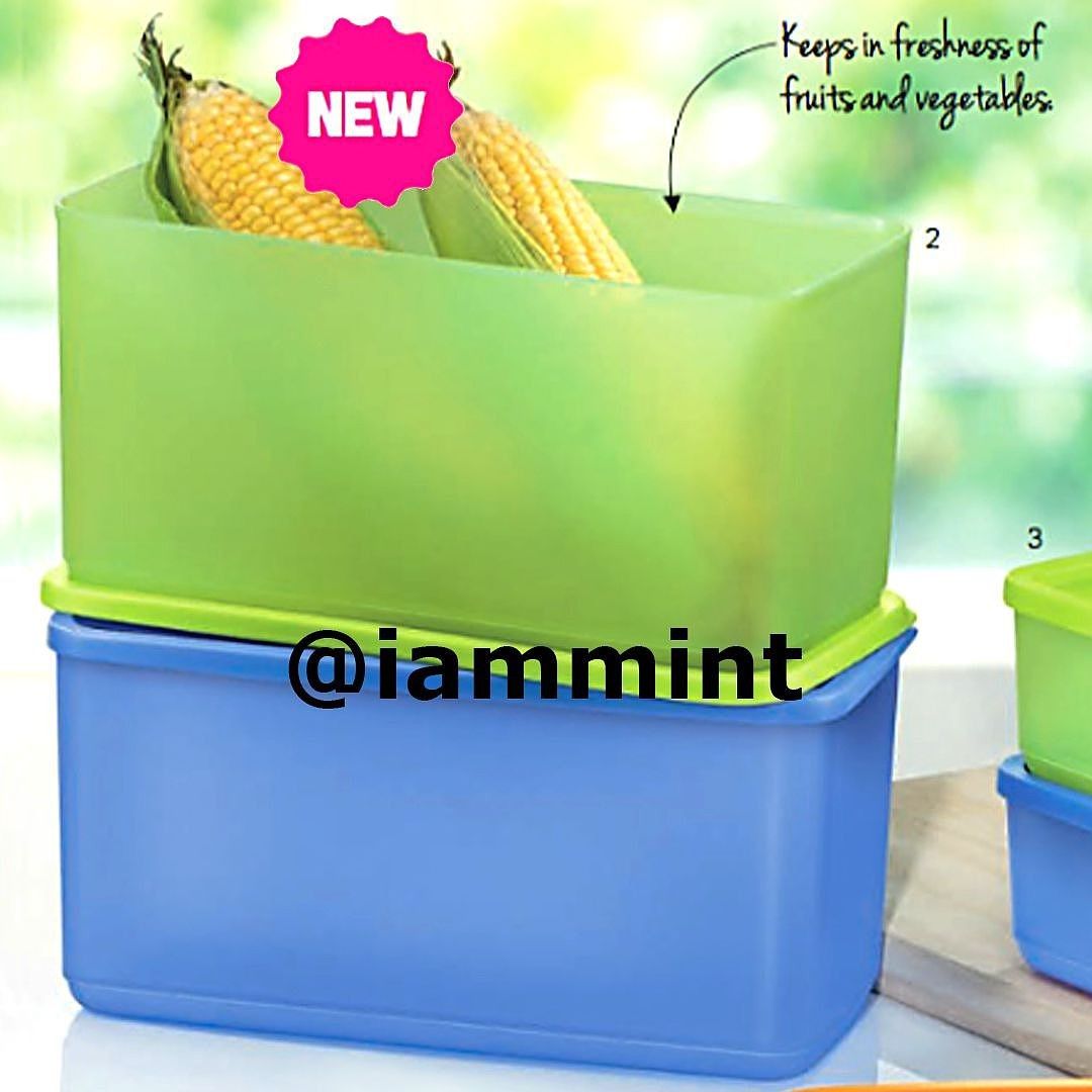 Tupperware 3.1L Double So Fresh Rectangular Container Box Set of 2 ...