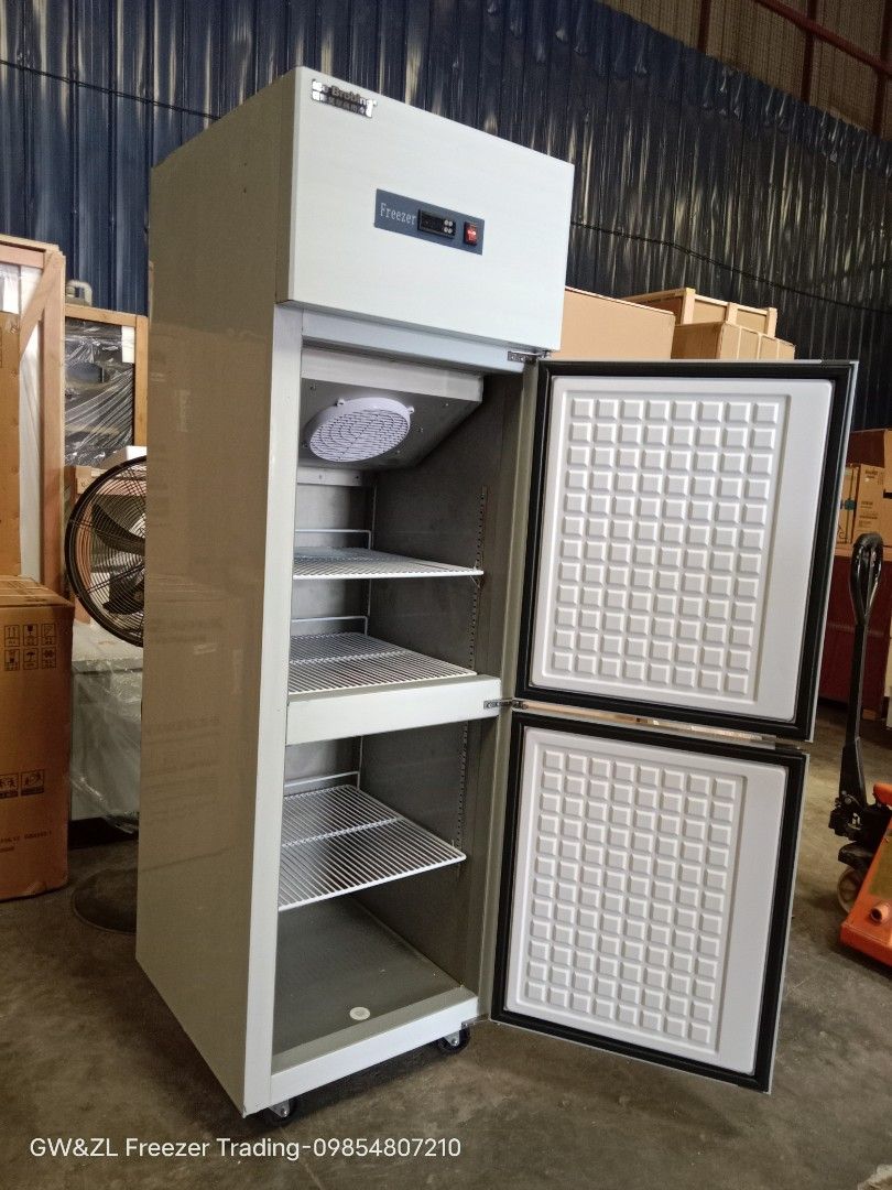 Upright Stainless 2 door freezer Upright Stainless Freezer Blower type ...
