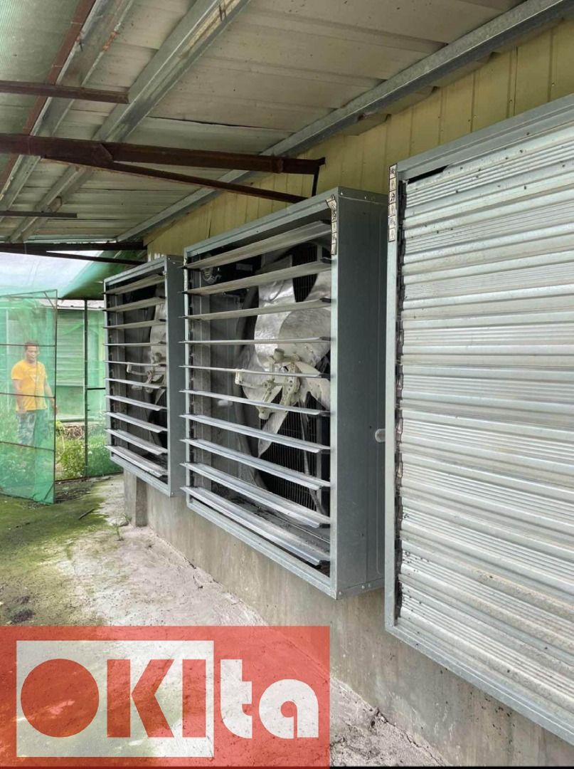 Vortex Industrial Exhaust Fan Excellent for Poultry Houses, Piggeries ...