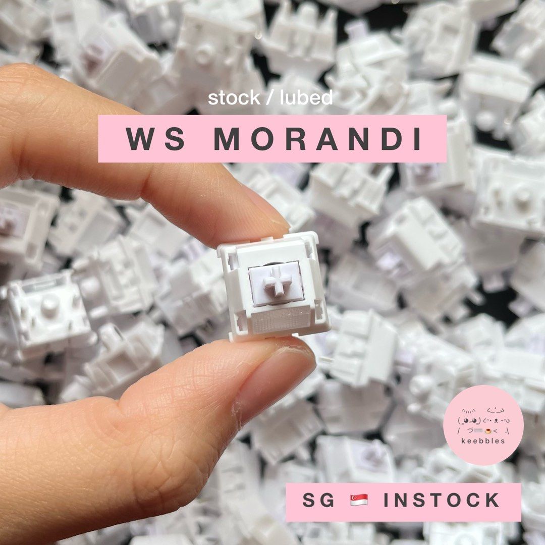 ws morandi switches, Computers & Tech, Parts & Accessories, Computer Keyboard on Carousell