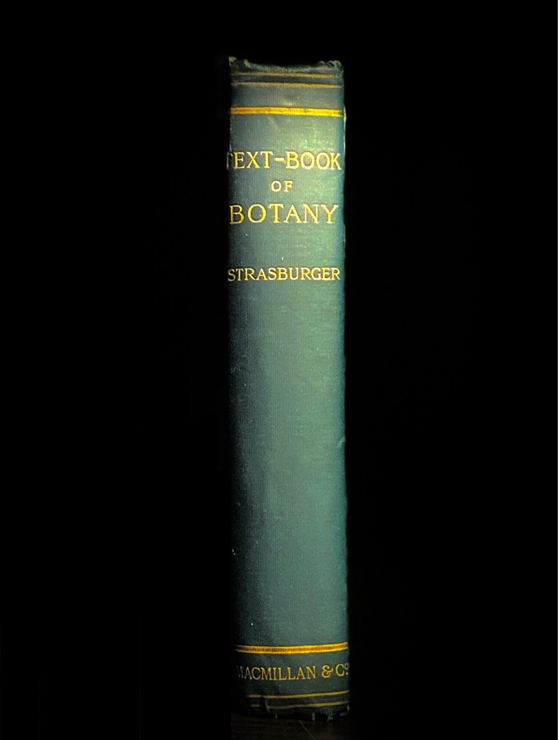 A Text-Book of Botany by Dr. Eduard Strasburger, Dr. Fritz Noll, Dr. H ...