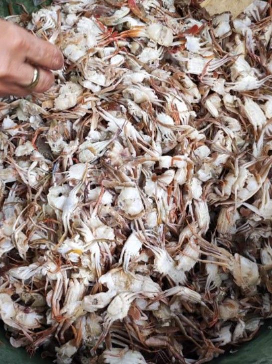 Crablets, Food & Drinks, Fresh Produce on Carousell