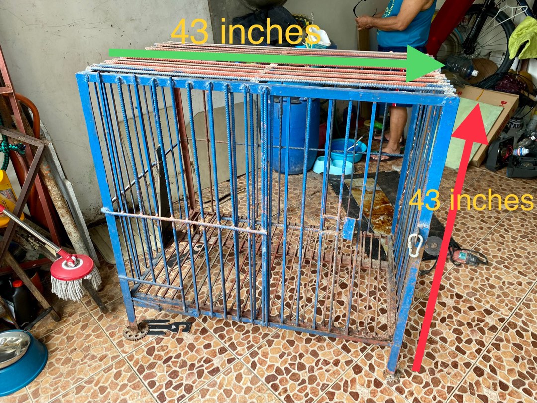 Dog Cage (Large Solid Metal), Pet Supplies, Homes & Other Pet ...