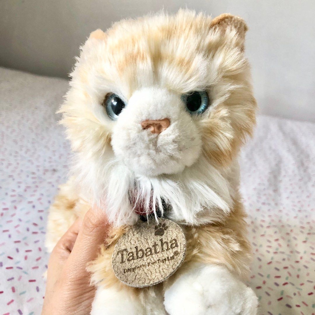 Keel toys Tabatha Cat, Hobbies & Toys, Toys & Games on Carousell