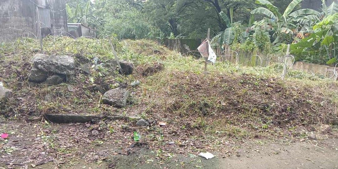 LOT FOR SALE SARANAY CLEAN TITLE 300 SQM, Property, For Sale, Lot on ...