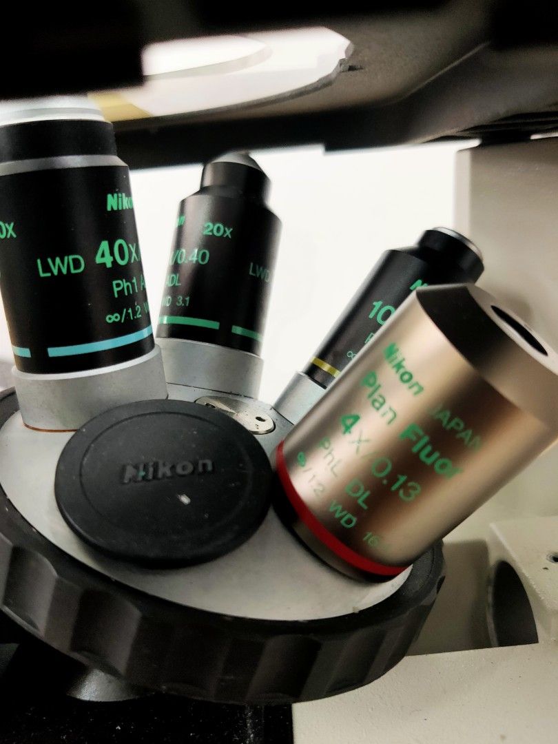 NIKON ECLIPSE TS100-F Microscope for sale @ $ 1500 each (AAR 2124), Health & Nutrition, Medical ...