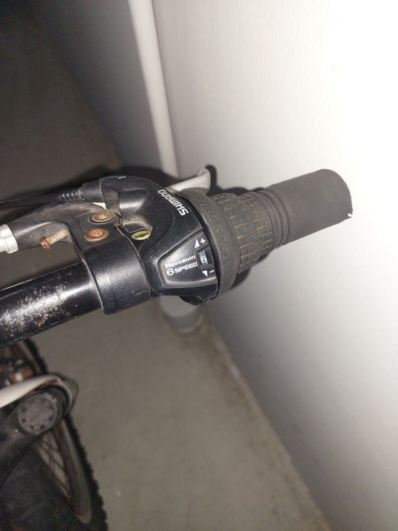 Polygon 20" Kids Bike, Sports Equipment, Bicycles & Parts, Bicycles on ...