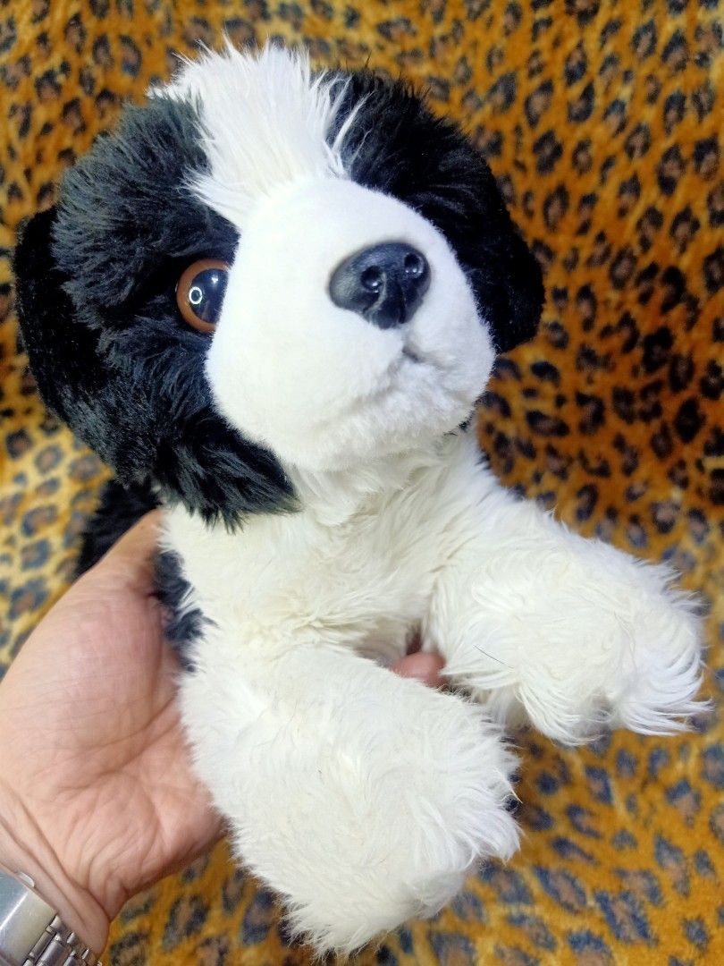 REALISTIC VERY CUTE BORDER COLLIE PLUSH DOG BY NATURE BABIES, Hobbies ...