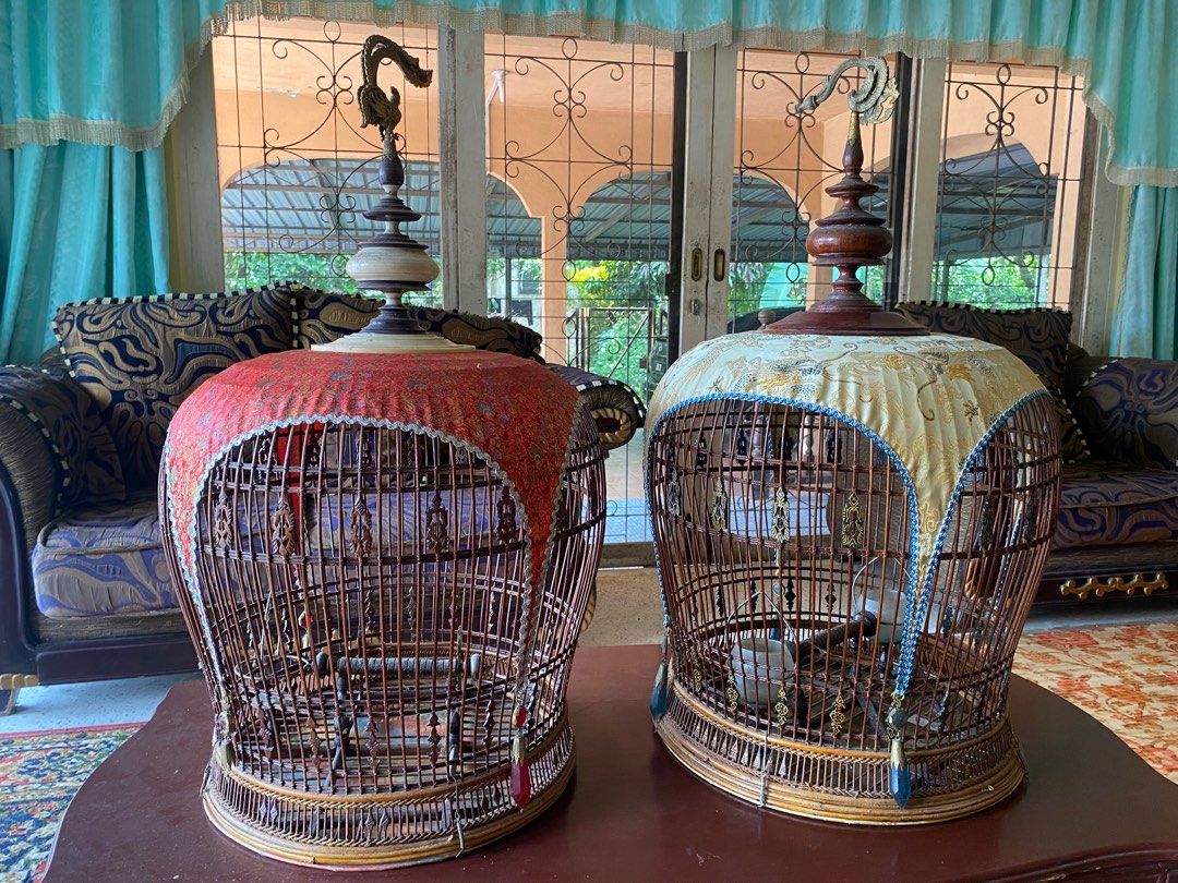 Sarang Burung Ketitir, Hobbies & Toys, Collectibles & Memorabilia ...