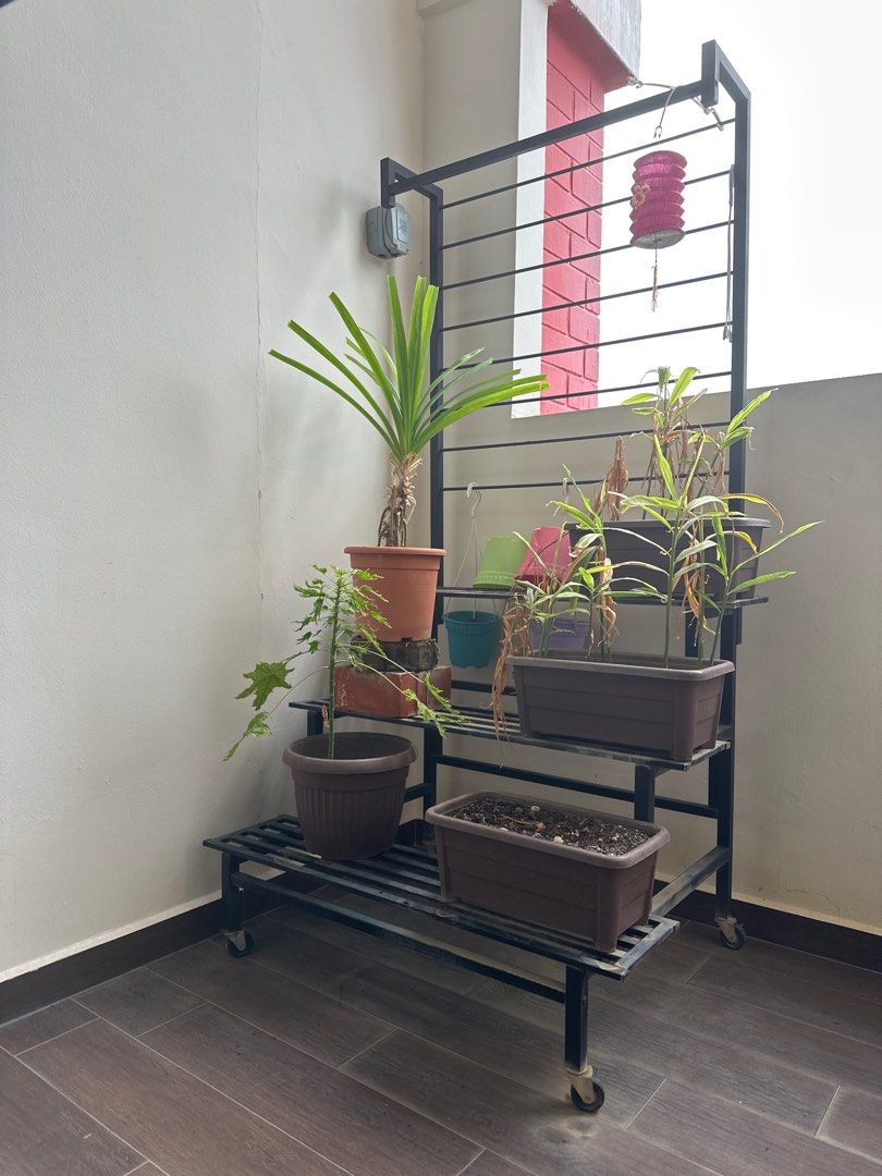Steve & Leif 3 Steps Gardening Plant Rack With Wheels, Furniture & Home ...