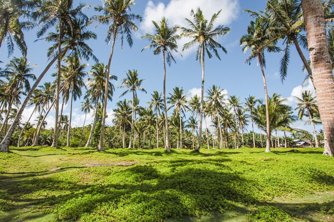 Oceanfront Lot Primed For Development On Siargao Island! , Property ...