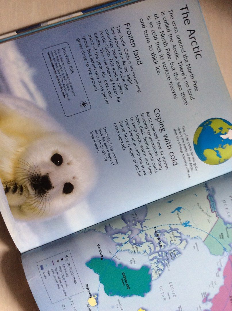 The Usborne First Atlas, Hobbies & Toys, Books & Magazines, Children's ...