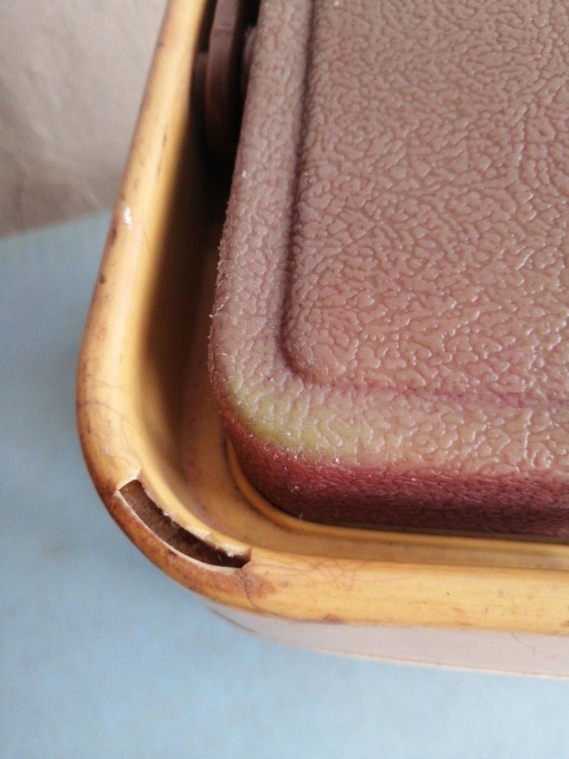 Vintage Tiger Beer Cooler Box Made in Japan 9 Litres, Hobbies & Toys ...