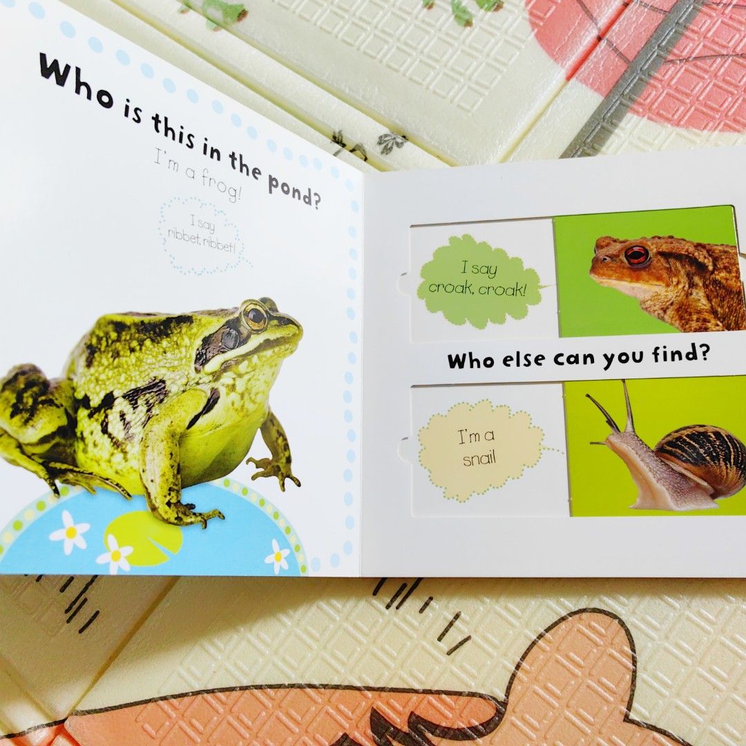 Who's who in the Garden Interactive Book, Hobbies & Toys, Books ...