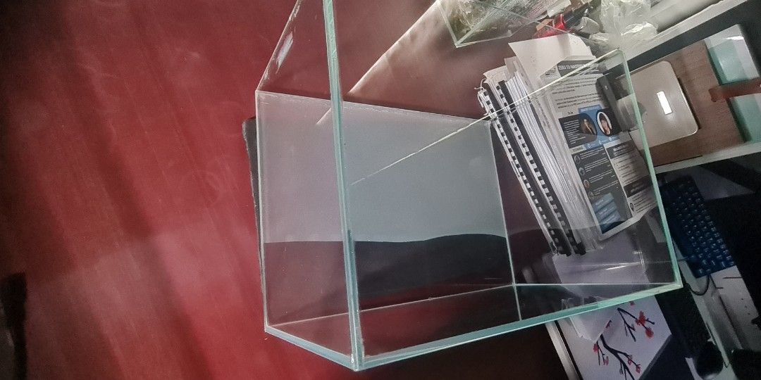 Crystal glass fish tank, Pet Supplies, Homes & Other Pet Accessories on ...