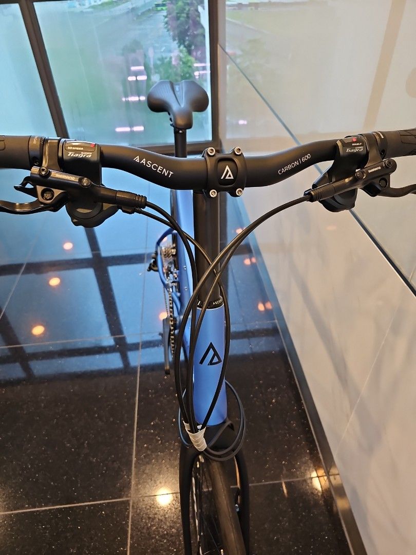 Custom Ascent Intrepid Mini Velo, Sports Equipment, Bicycles & Parts ...