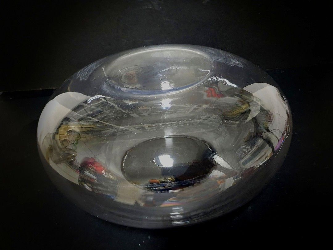 30cm Donut shape Dome Terrarium Aquarium shrimp fish snail plant ...