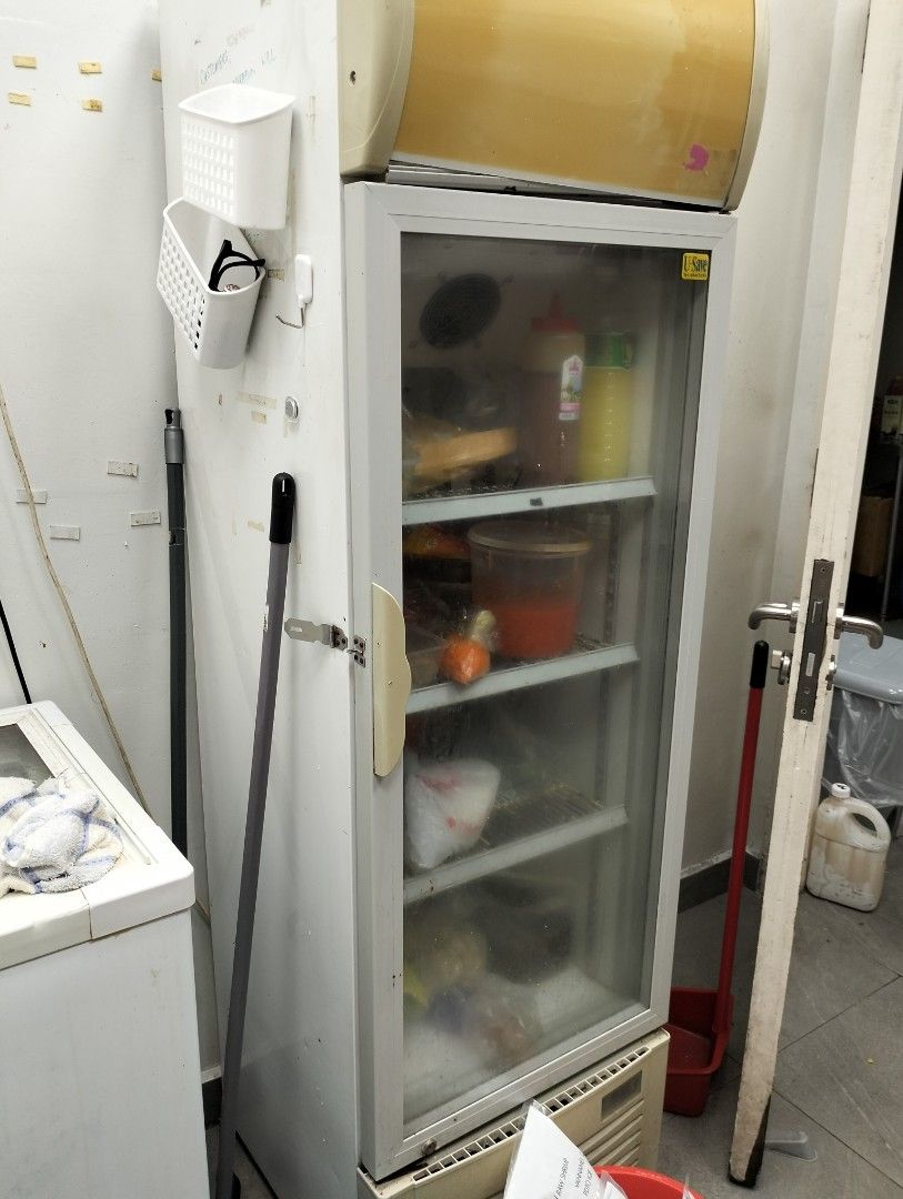Free Standing chiller and ice cream freezer, TV & Home Appliances ...