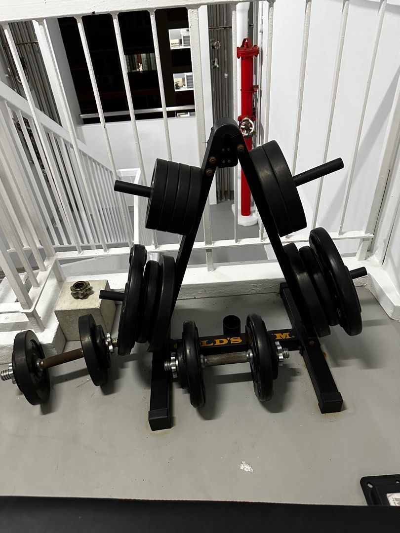 Gym bench, weights, weight tree, Sports Equipment, Exercise & Fitness ...