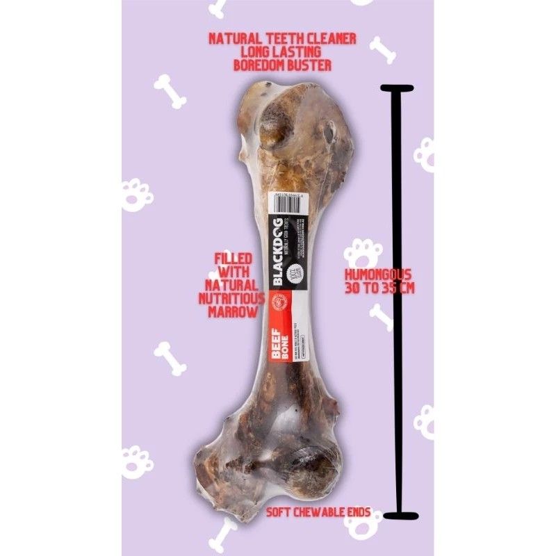 Premium Dog Treat. Blackdog Giant Beef bone for Chewing, Boredom Buster ...