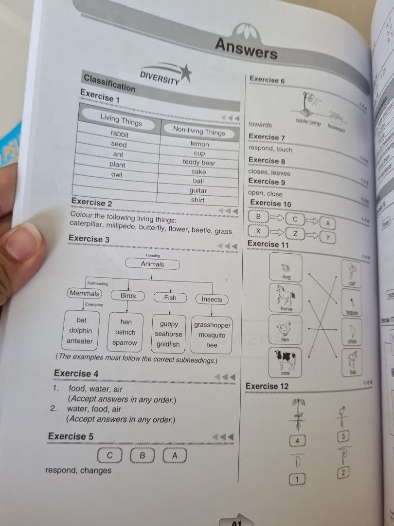 Primary 2 science, Hobbies & Toys, Books & Magazines, Assessment Books ...