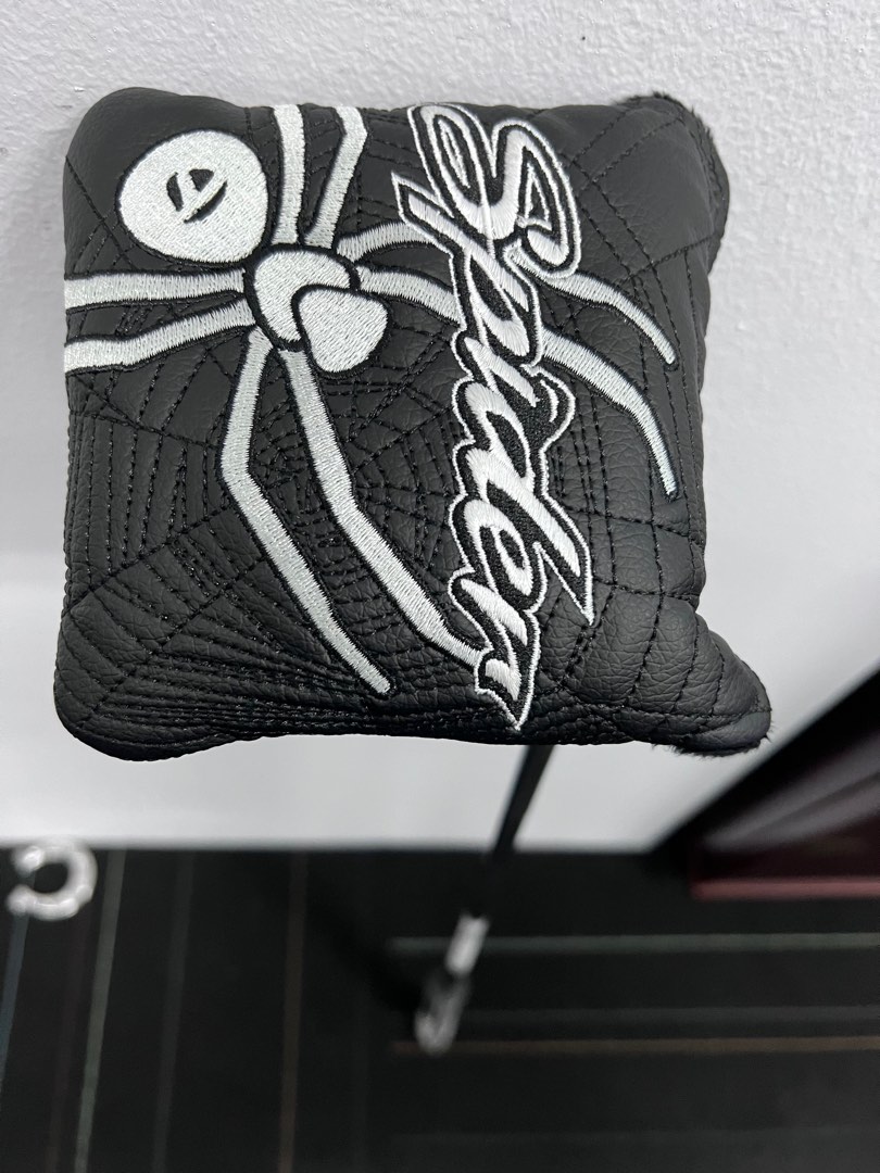 Taylormade Spider EX Platinum/White putter, Sports Equipment, Sports ...