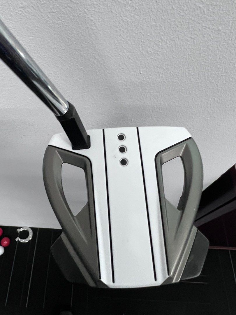 Taylormade Spider EX Platinum/White putter, Sports Equipment, Sports ...