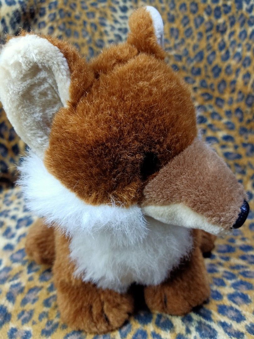 VERY CUTE REALISTIC WOLF PLUSH TOY, Hobbies & Toys, Toys & Games on ...