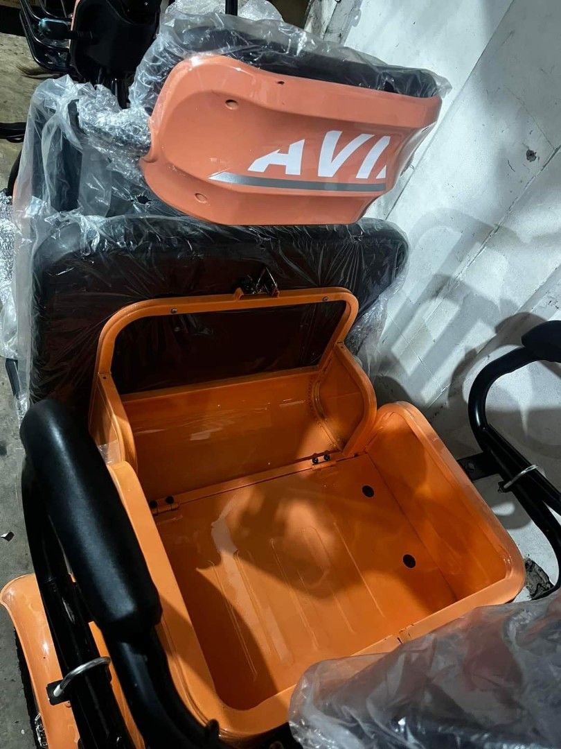 3WHEELS AVIA CRUISER ELECTRIC BIKE 1,000WATTS, Sports Equipment ...