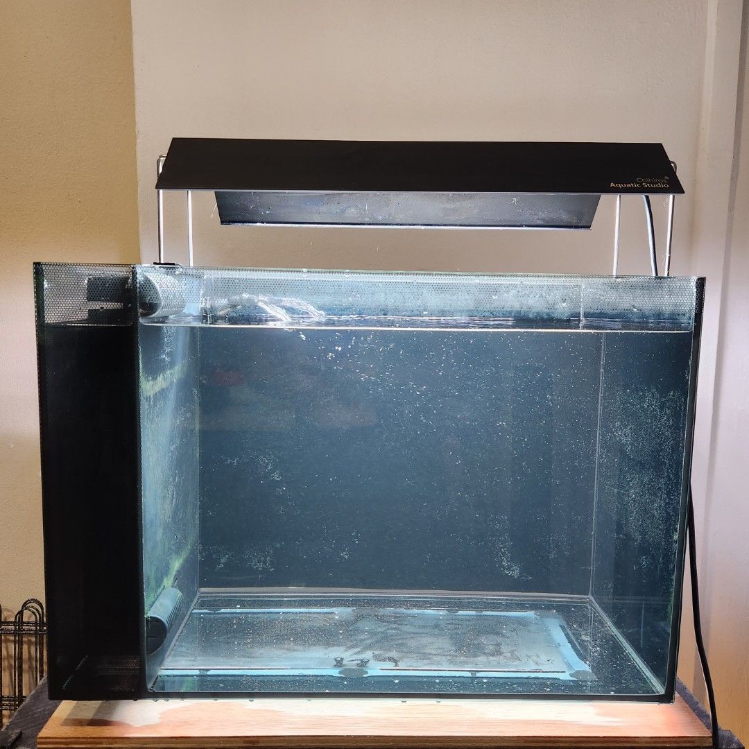 FLUVAL SPEC 60L fish tank with CHIHIROS LED light, Pet Supplies, Homes ...