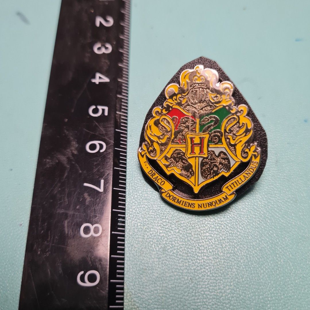 Harry Potter Hogwarts pin, Hobbies & Toys, Memorabilia & Collectibles ...