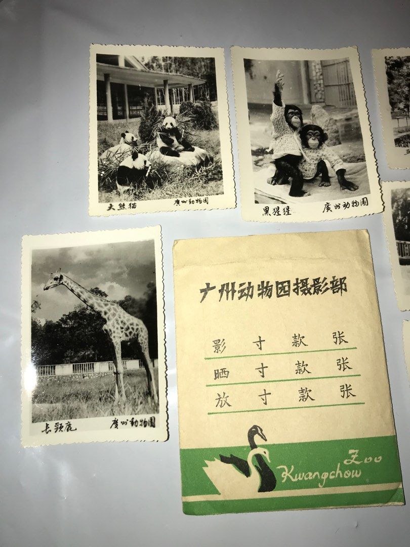廣州動物園攝影部動物照片十張連紙袋懷舊物品Kwangchow Zoo, 興趣及遊戲, 收藏品及紀念品, 郵票及印刷品 - Carousell