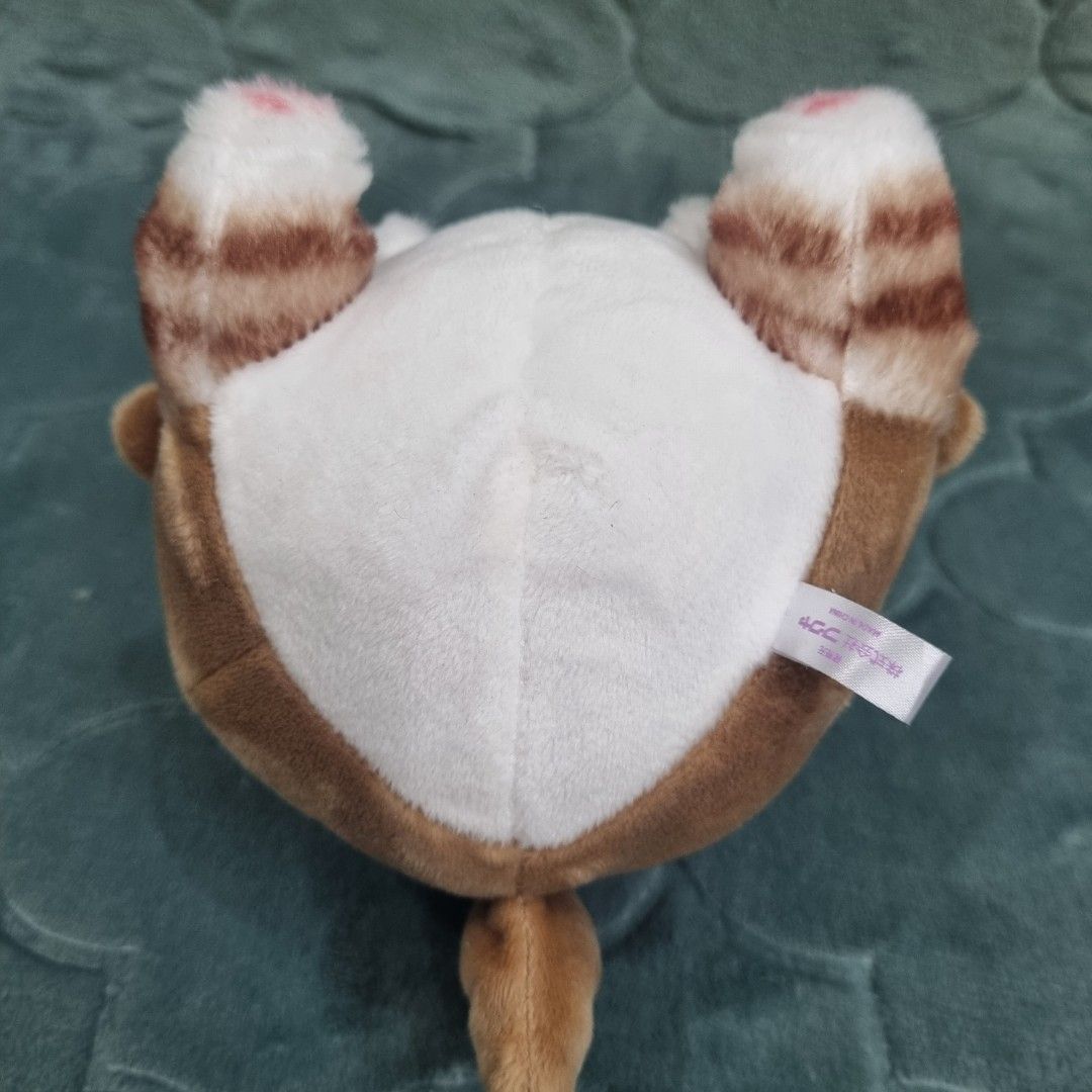 Mofusand Same Nyan Cat Hammerhead Shark Small Plush, Hobbies & Toys ...