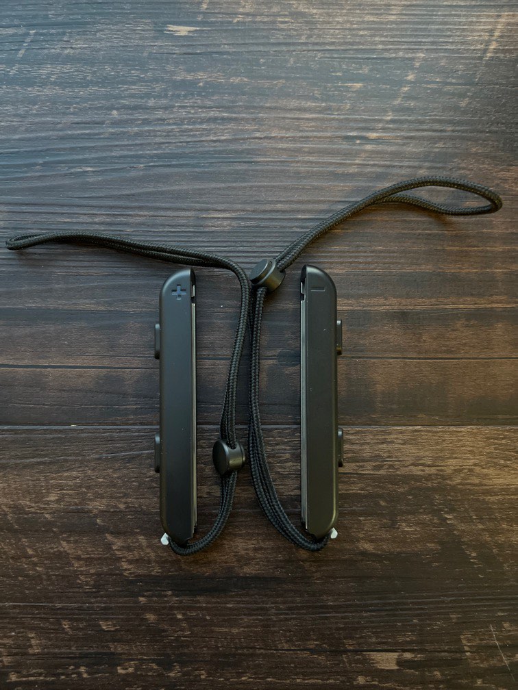 Nintendo Switch Joy-Con Controller Strap x 2, Video Gaming, Video Game ...