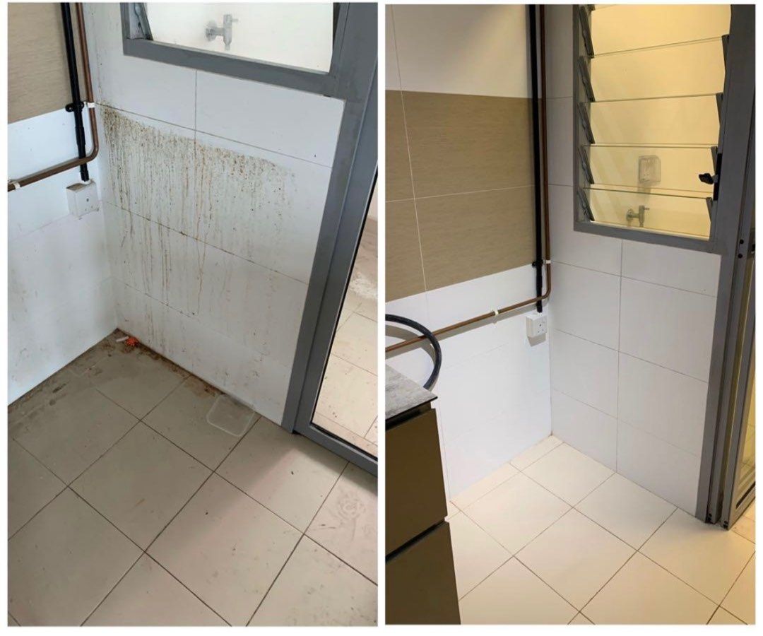 professional cleaning / cleaning service/ handover cleaning / post reno ...