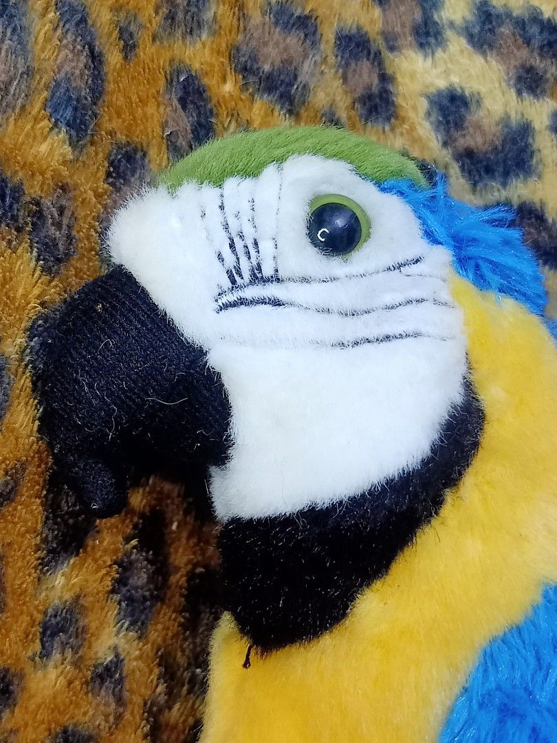 VERY BEAUTIFUL REALISTIC PARROT PLUSH TOY, Hobbies & Toys, Toys & Games ...