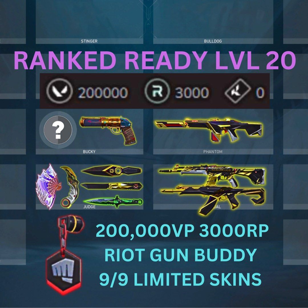 200,000VP + RIOT GUN BUDDY + ALL 9 LIMITED SKINS VALORANT ACCOUNT WTS ...