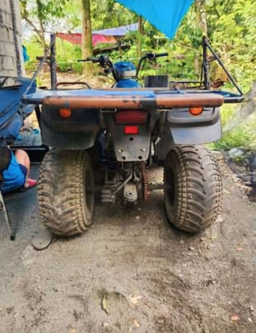 AEON ATV 180CC SALE OR SWAP, Sports Equipment, Other Sports Equipment ...