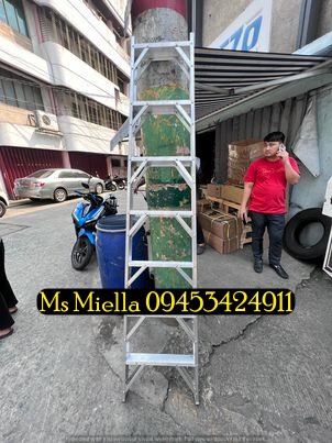 Alum. Straight Ladder Normal Duty, Commercial & Industrial ...