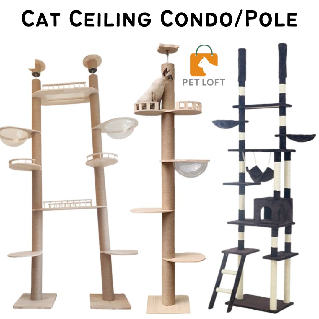 Cat Condo House Pet Ceiling Condo DIY Floor-to-Ceiling Cat Tree Scratch ...