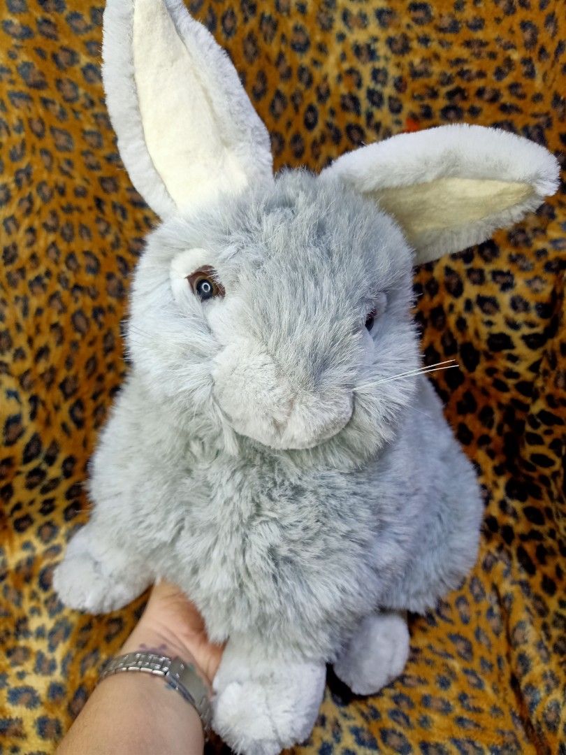 JUMBO SIZE VERY BEAUTIFUL REALISTIC BUNNY / RABBIT PLUSH TOY, Hobbies ...