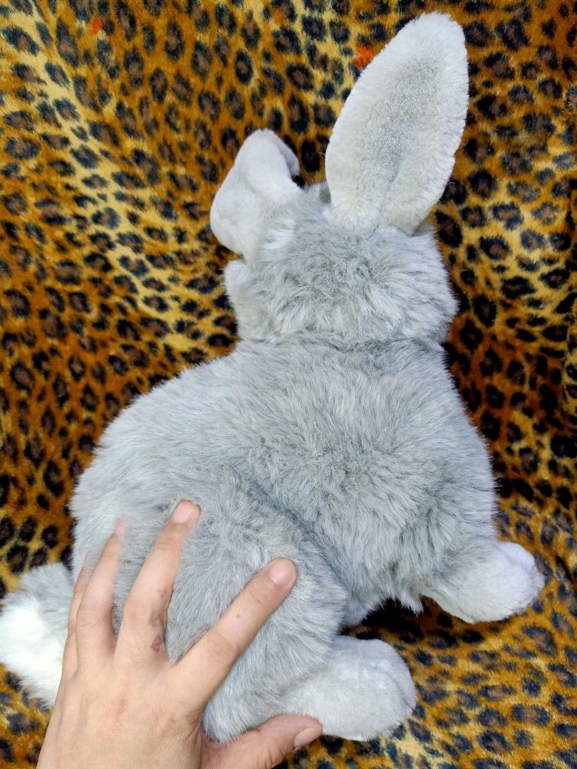 JUMBO SIZE VERY BEAUTIFUL REALISTIC BUNNY / RABBIT PLUSH TOY, Hobbies ...