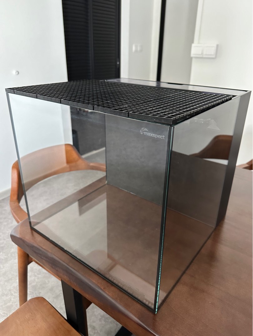 Maxspect DICE Nano Cube AIO 12Gal Fish Tank + Freebies, Pet Supplies ...