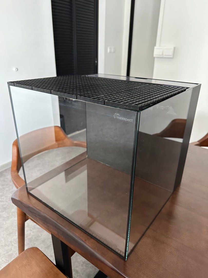 Maxspect DICE Nano Cube AIO 12Gal Fish Tank, Pet Supplies, Homes ...