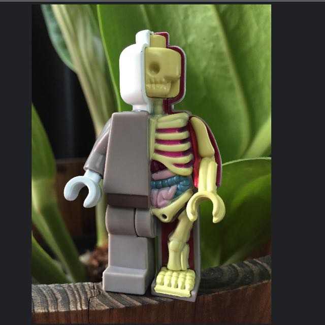 Micro Anatomic By Jason Freeny Mighty Jaxx Lego Dissect, Hobbies & Toys ...