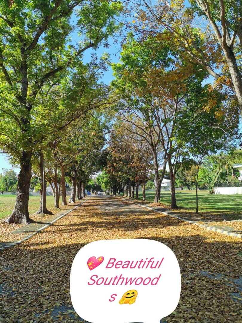 In Phase 3 - Corner Lot for Sale Manila Southwoods Estates near Alabang ...