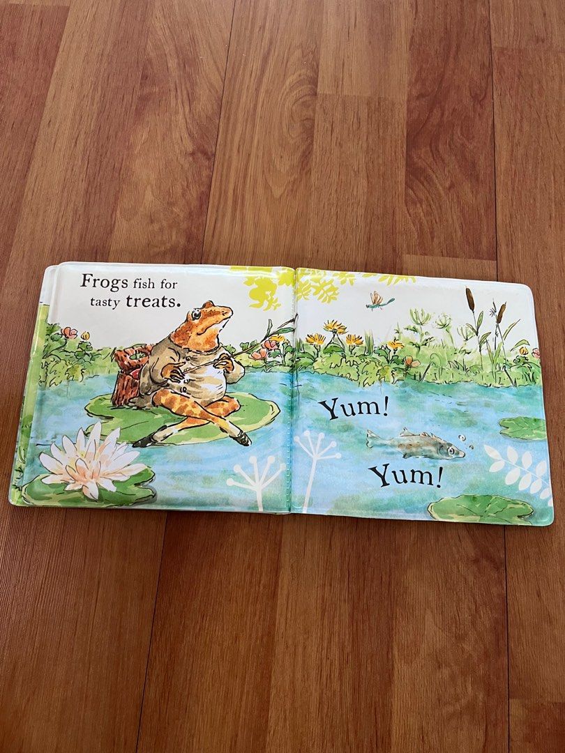 Peter Rabbit Water Story Book for pool and bathtime, Hobbies & Toys ...