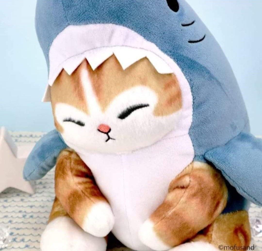 TAKE ALL CATS MOFUSANDS BRAND NEW JUMBO SHARK CAT PLUSH ACRYLIC ...